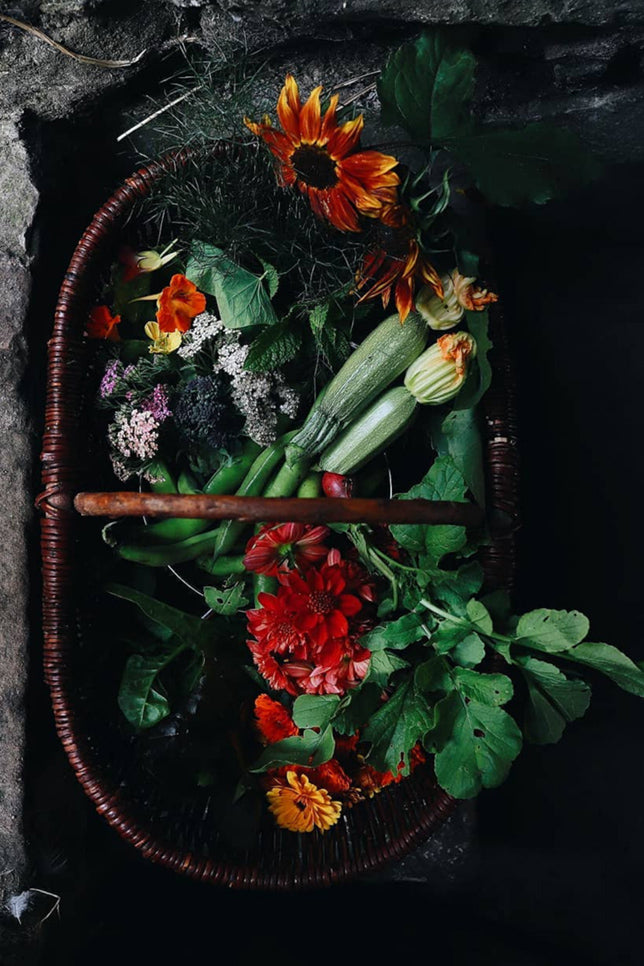 Courgette Love – Rowen & Wren