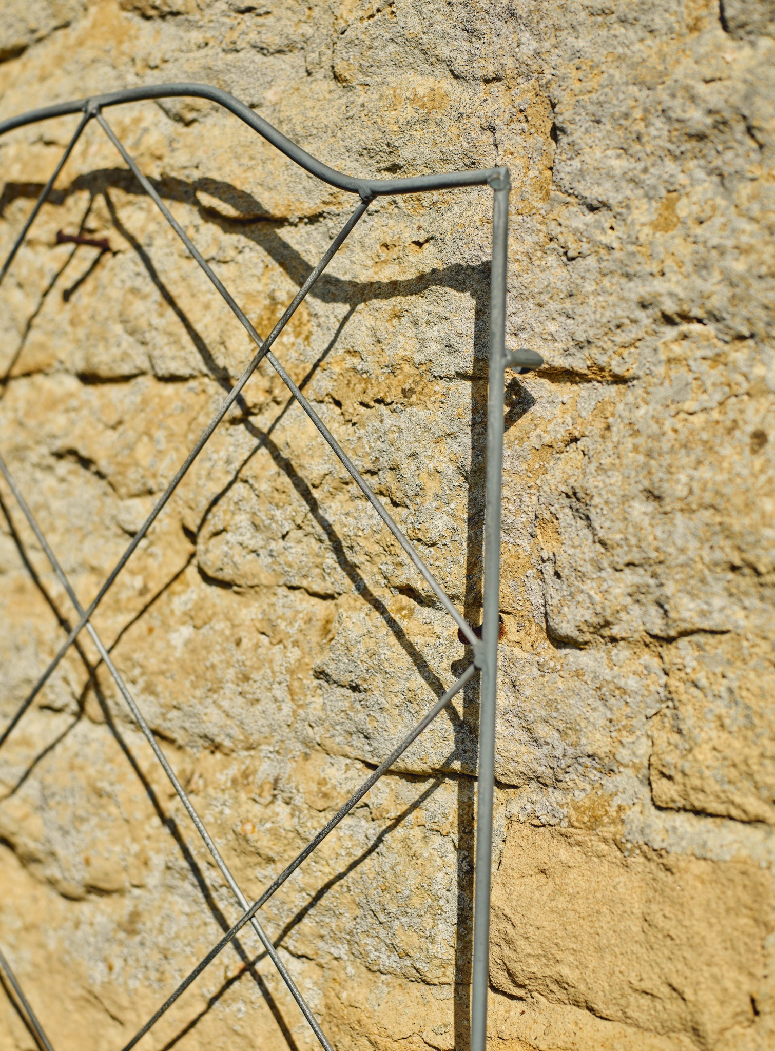 Marlow Trellis | Rowen & Wren