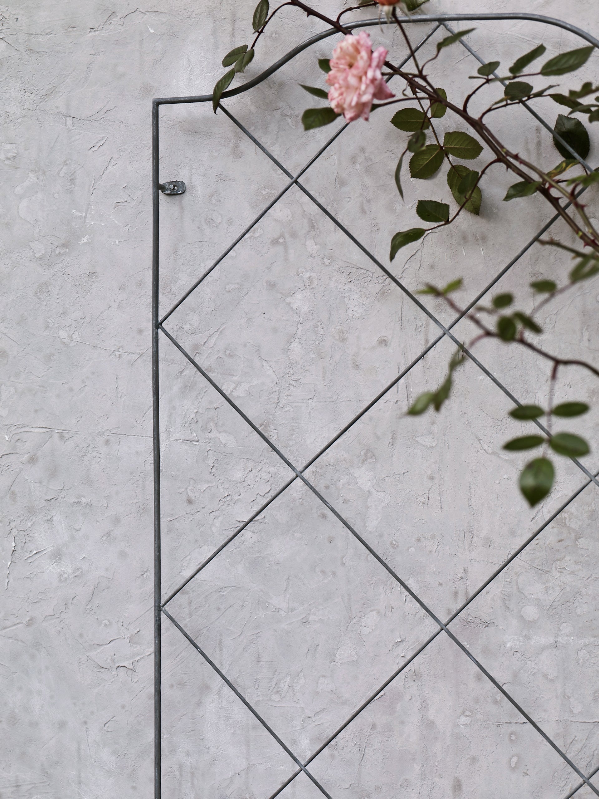 Metal Garden Trellis - Marlow | Rowen & Wren