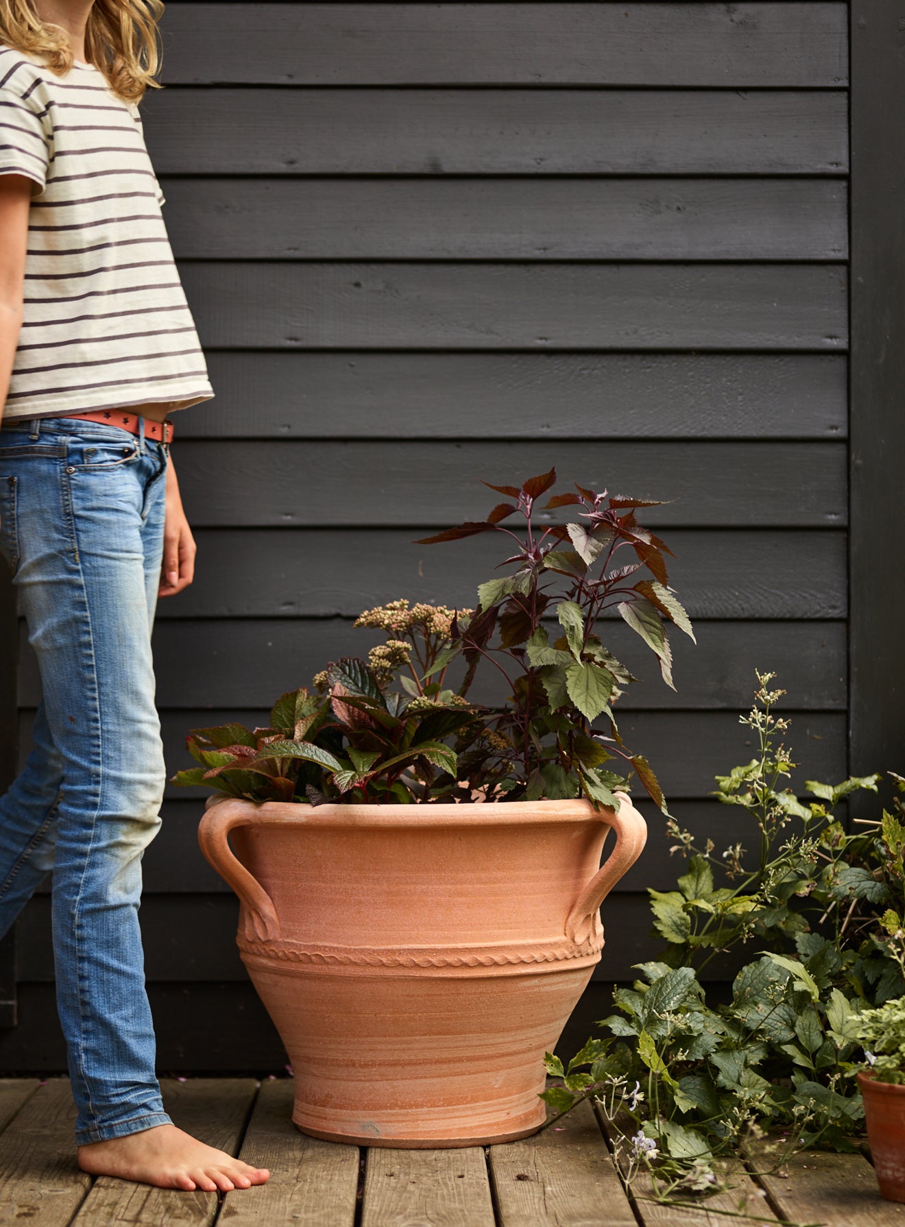 Athena Terracotta Pot | Rowen & Wren