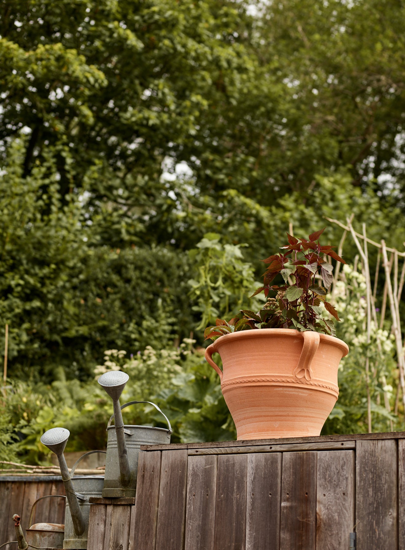 Athena Terracotta Pot | Rowen & Wren