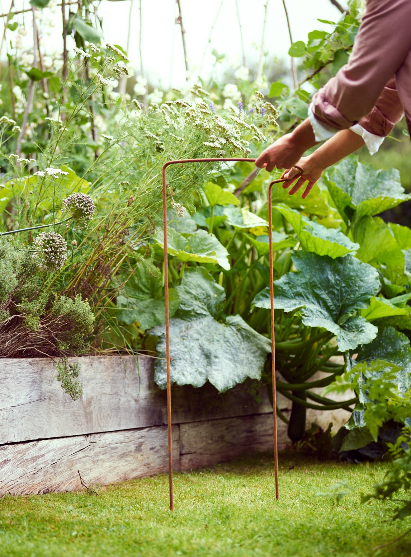 Rusted Garden Border Supports | Rowen & Wren