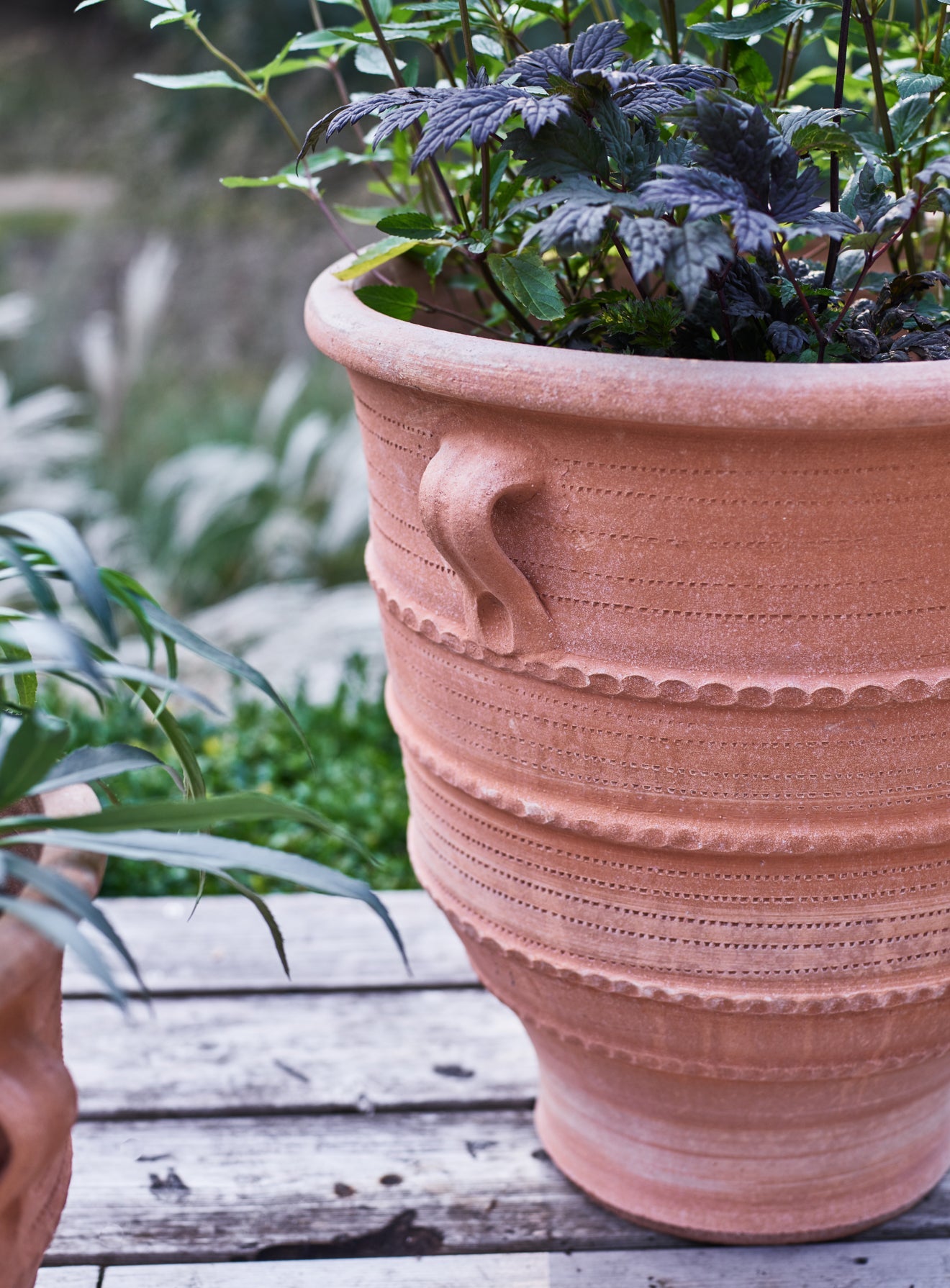Thrapsano Terracotta Pot, Large | Rowen & Wren