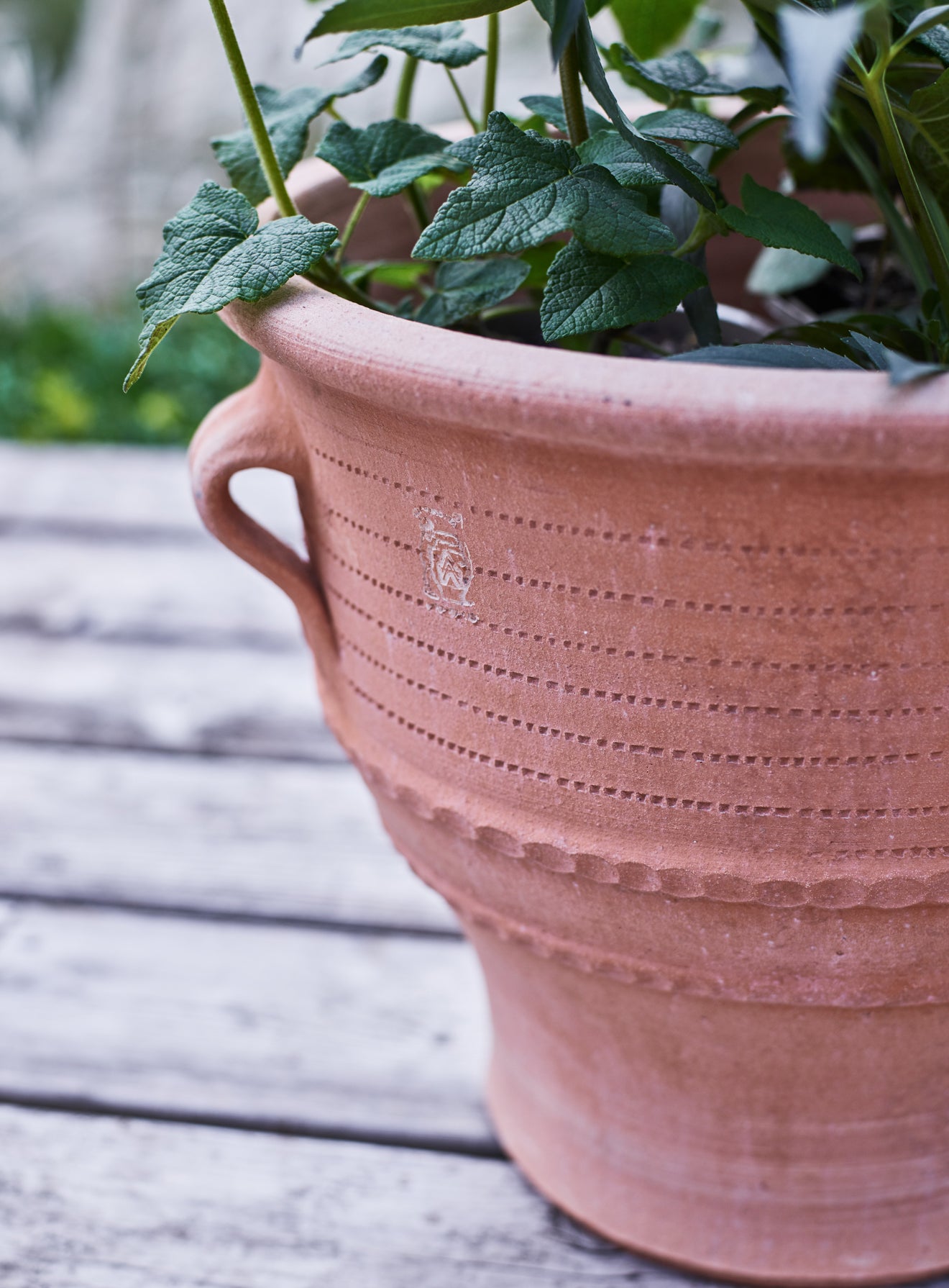 Thrapsano Terracotta Pot, Small | Rowen & Wren